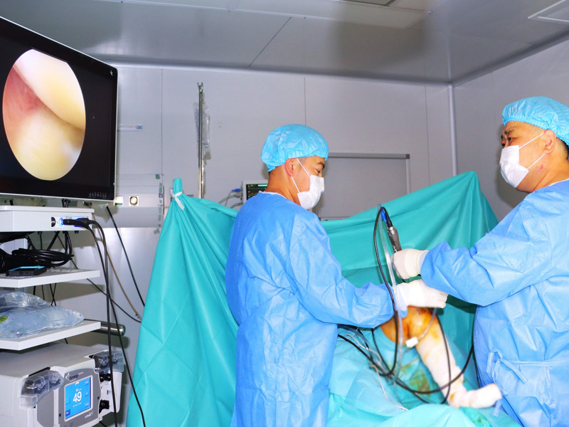 ГССҮТ ийн эмч нар үений гадаргуу мөгөөрсийг шилжүүлэн суулгах мэс заслын шинэ технологи нэвтрүүллээ